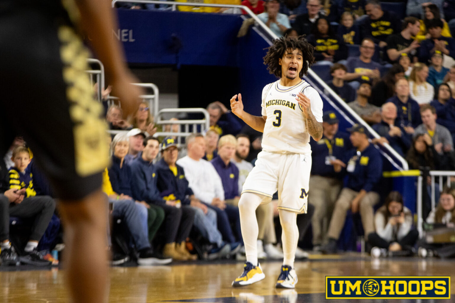 Game 2: Wake Forest vs. Michigan Open Thread | UM Hoops.com